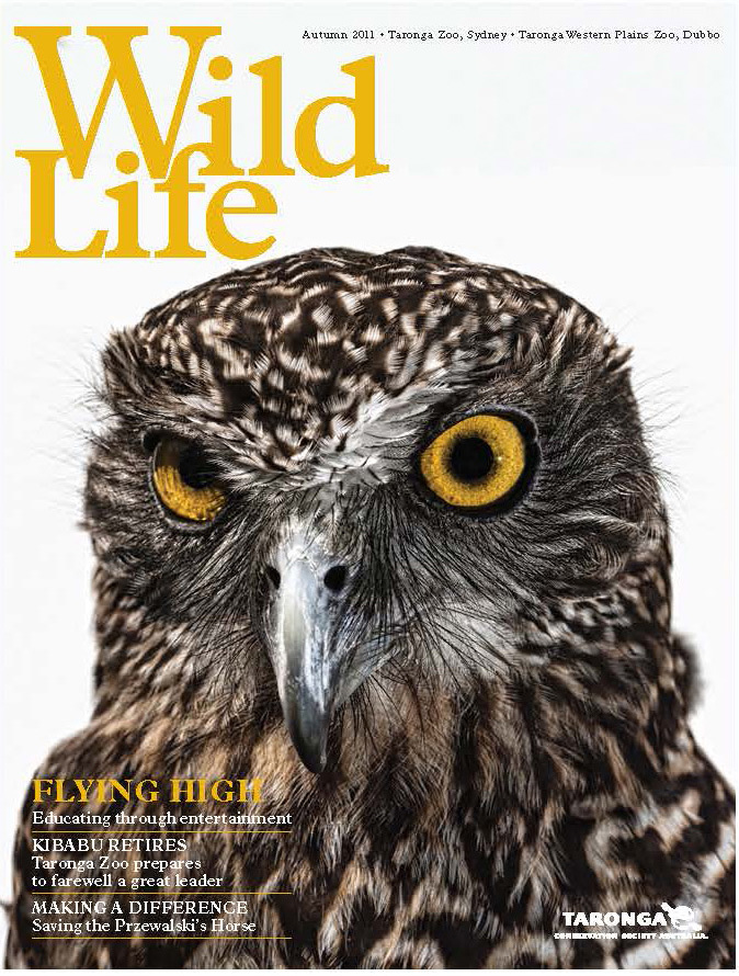 Wild Life Magazine Covers | Katherine Cordwell